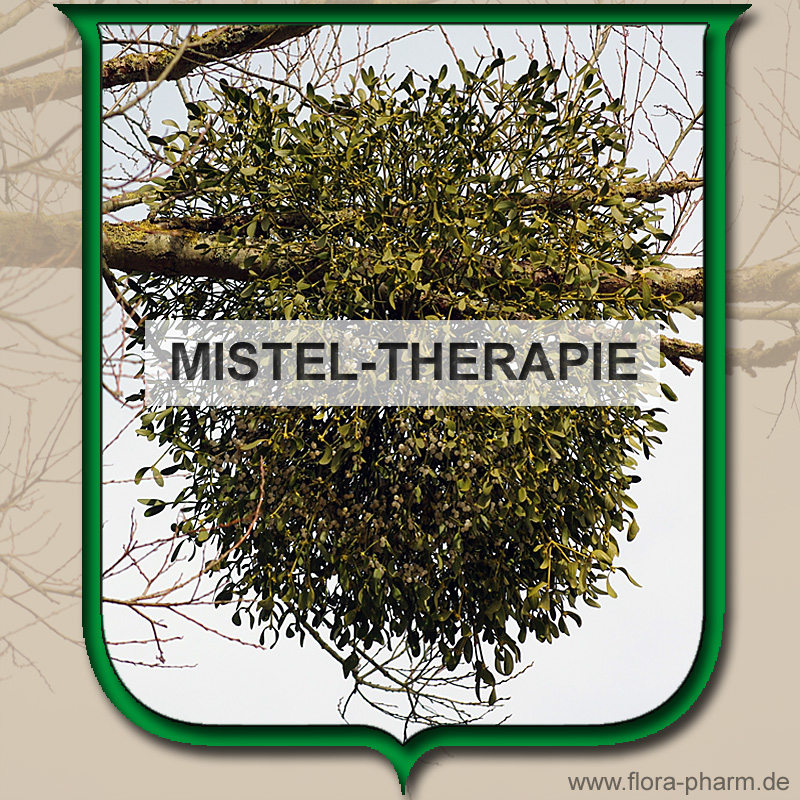 Misteltherapie als Onkologikum - Flora Apotheke Hannover