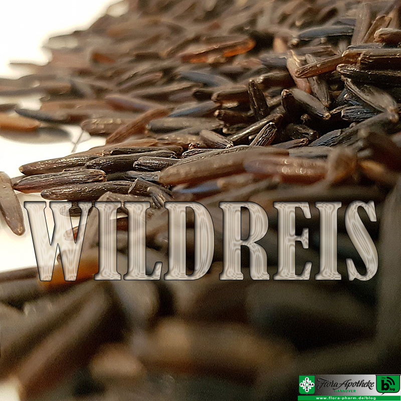 Wildreis - Flora Apotheke Hannover