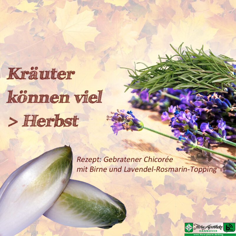 Kräuter können viel - Flora Apotheke Hannover